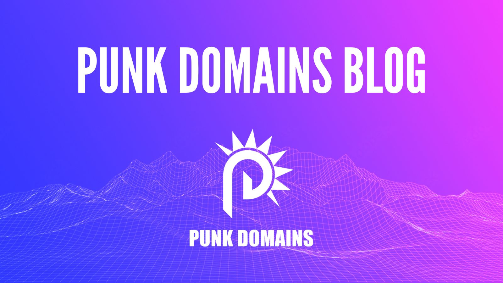 Punk Domains Blog